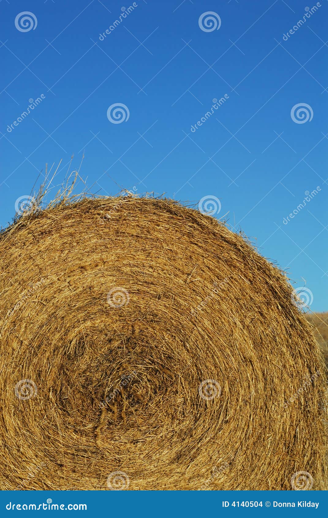 Round Bale of Hay and Blue Sky Stock Photo - Image of food, bale: 4140504