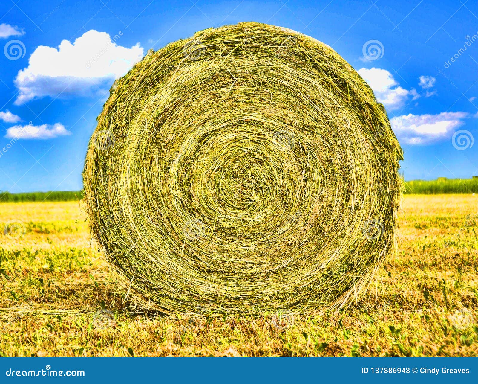 Round Bale Of Hay In Tuscany Countryside Royalty-Free Stock Photo ...