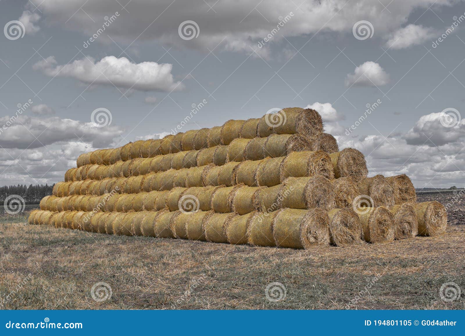 Round bale pyramid stock image. Image of landscape, golden - 194801105