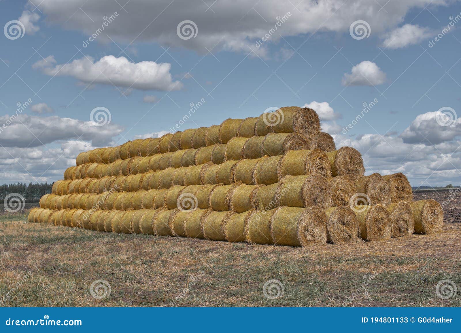Round bales stock image. Image of business, landscape - 194801133