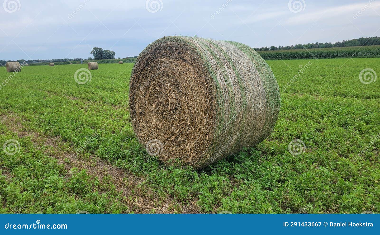 Round Bale Sitting in the Field Stock Image - Image of sitting, farming ...
