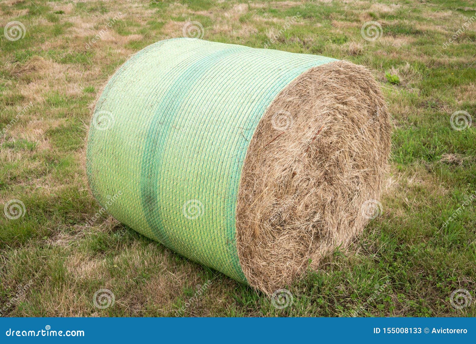 Round bale of weed stock image. Image of field, haystack - 155008133