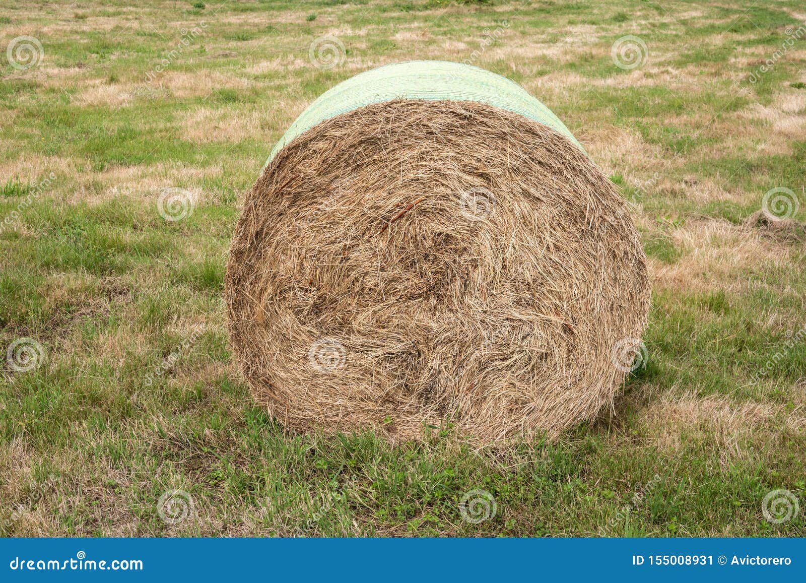 Round bale of weed stock image. Image of clouds, animal - 155008931