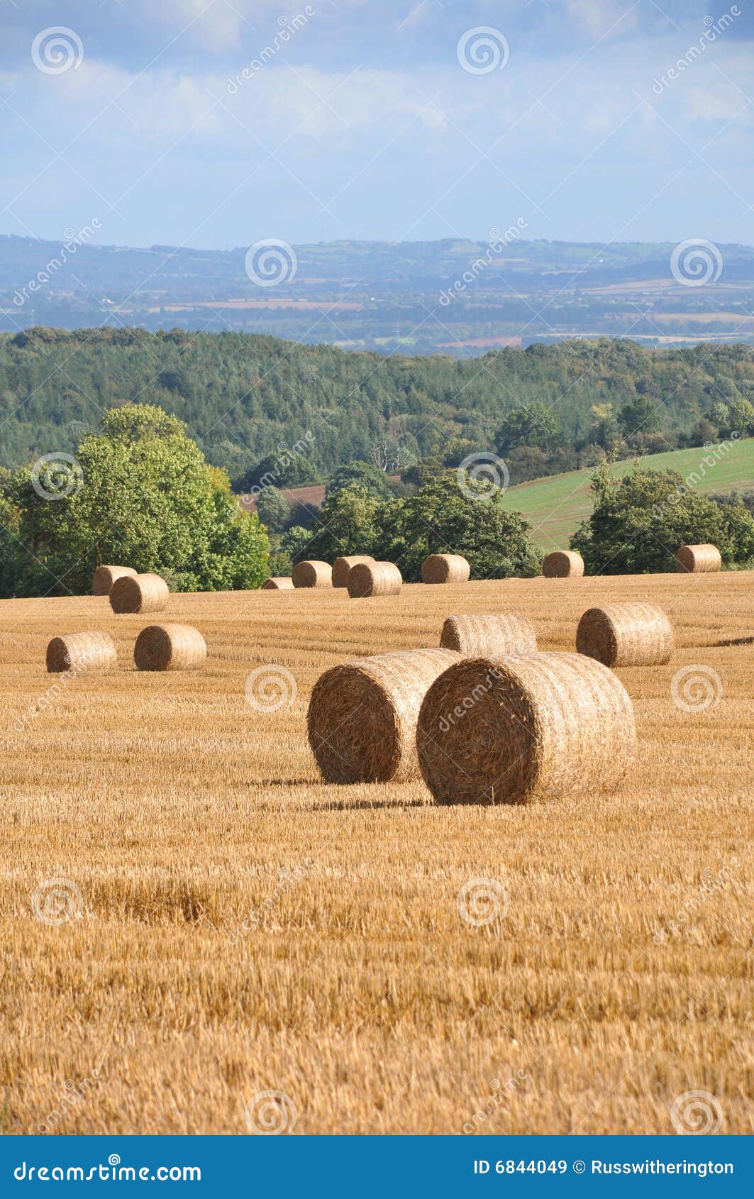 Round Hay Bales Stacked In A Barn, Black And White. Royalty-Free Stock ...
