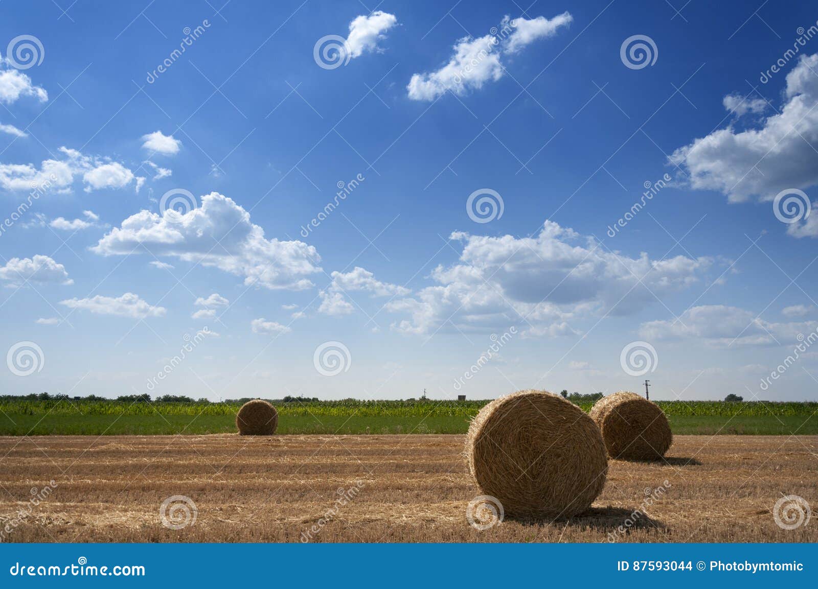 Round bales stock photo. Image of wheat, round, farming - 87593044