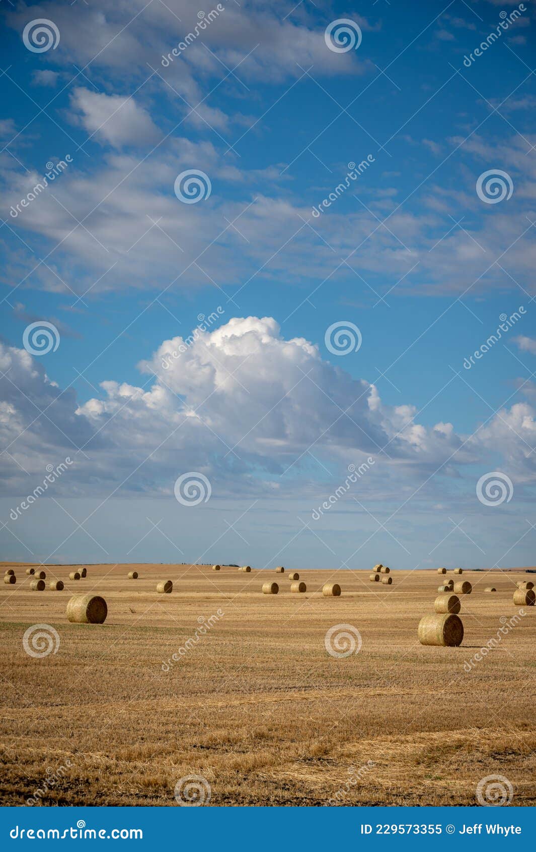 Row Of Round Hay Bales Stacked In Three Tiers Stock Photo ...