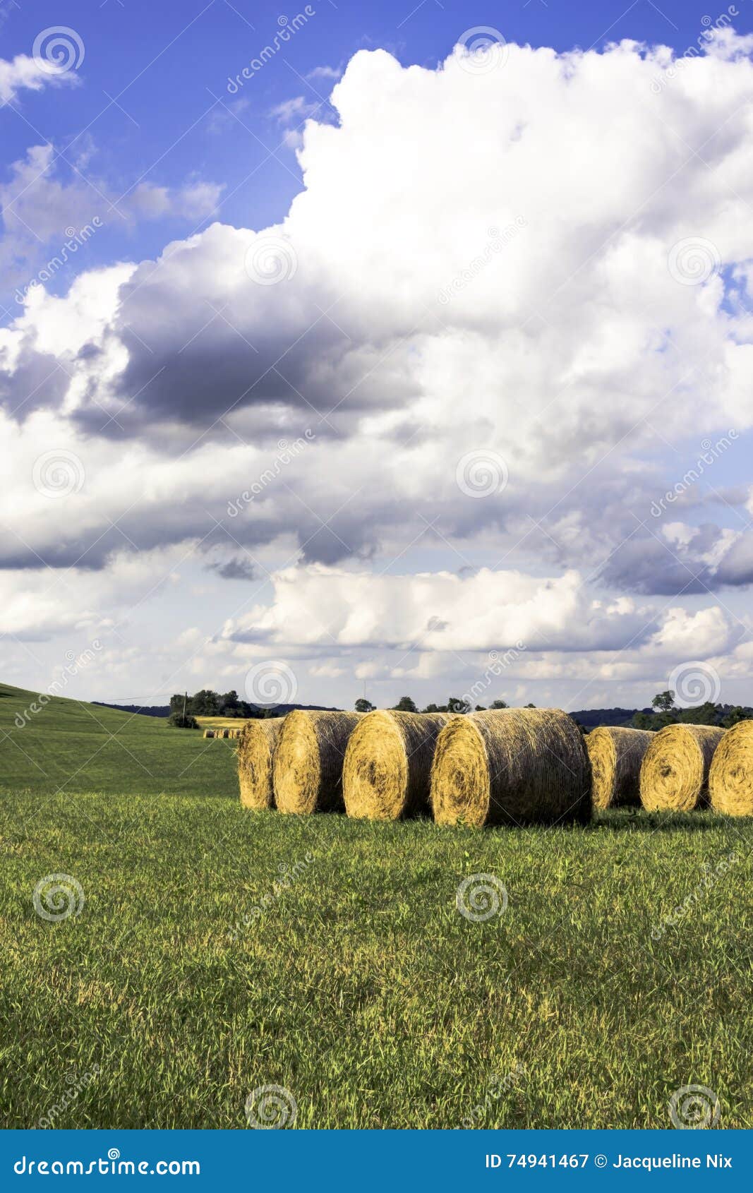 Round Bales in a Field - Vertical Stock Image - Image of countryside ...
