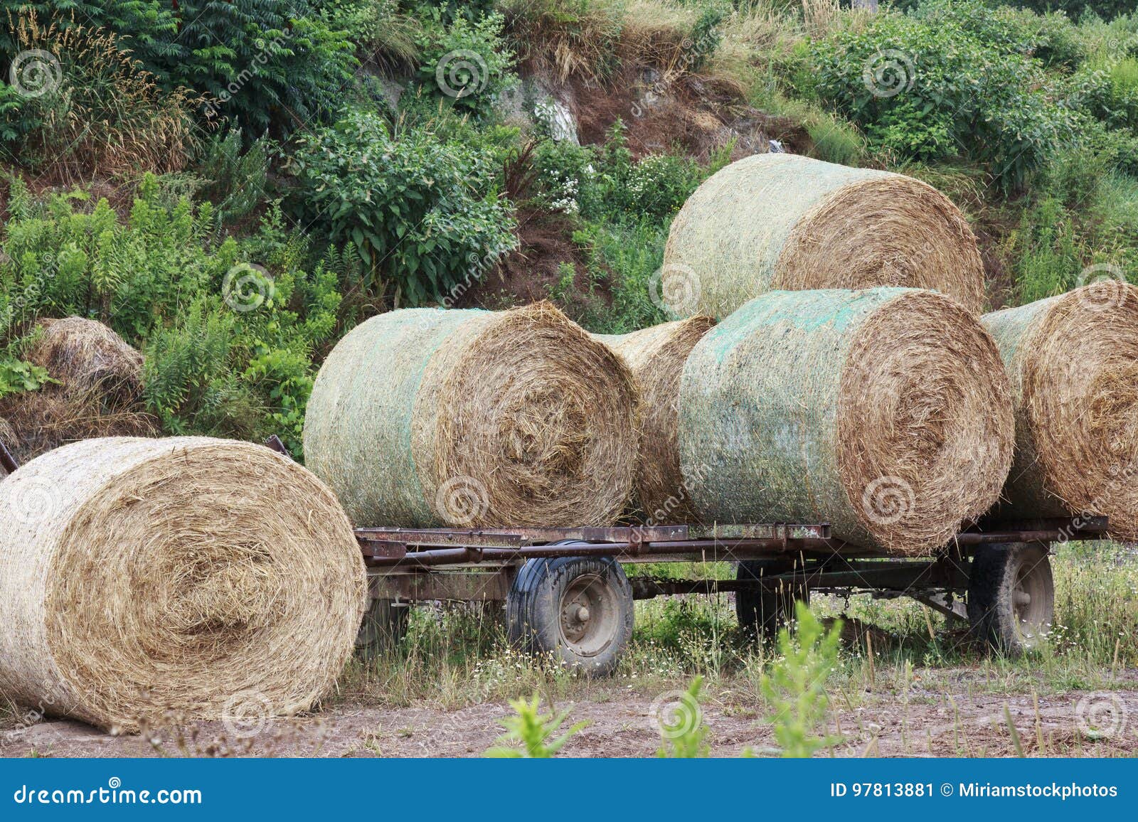 Round Bales of Hay on Flat Bed Trailer Stock Image - Image of forage ...