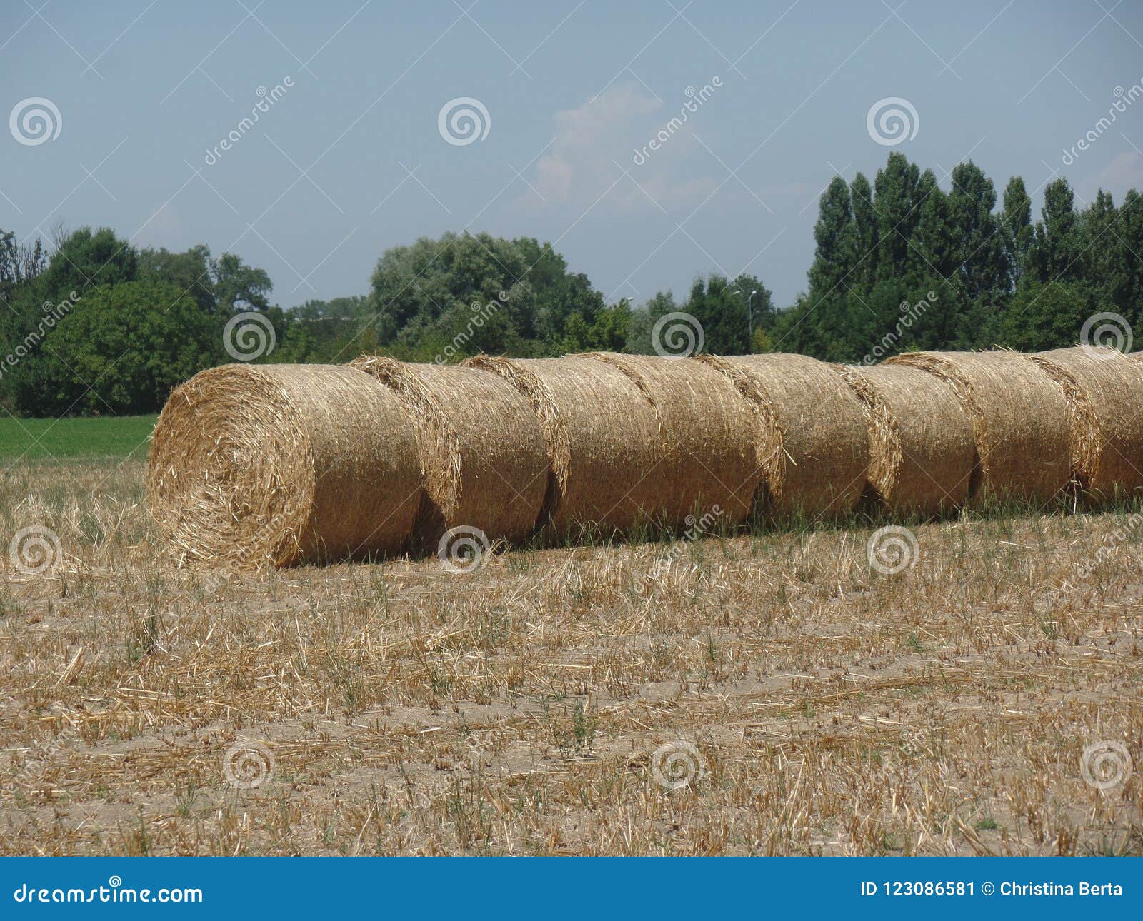 Round Bales of Hay on the Grass Stock Image - Image of landscape, glow ...