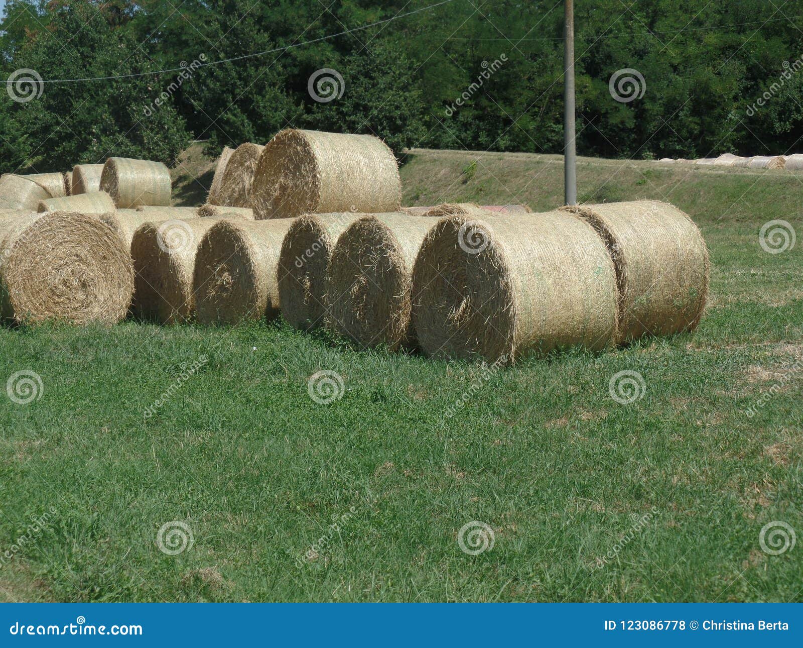 Round Bales of Hay on the Grass Stock Photo - Image of blue, farm ...