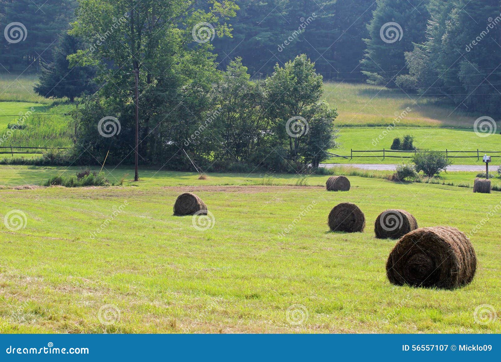 Round bales stock image. Image of grass, green, baled - 56557107