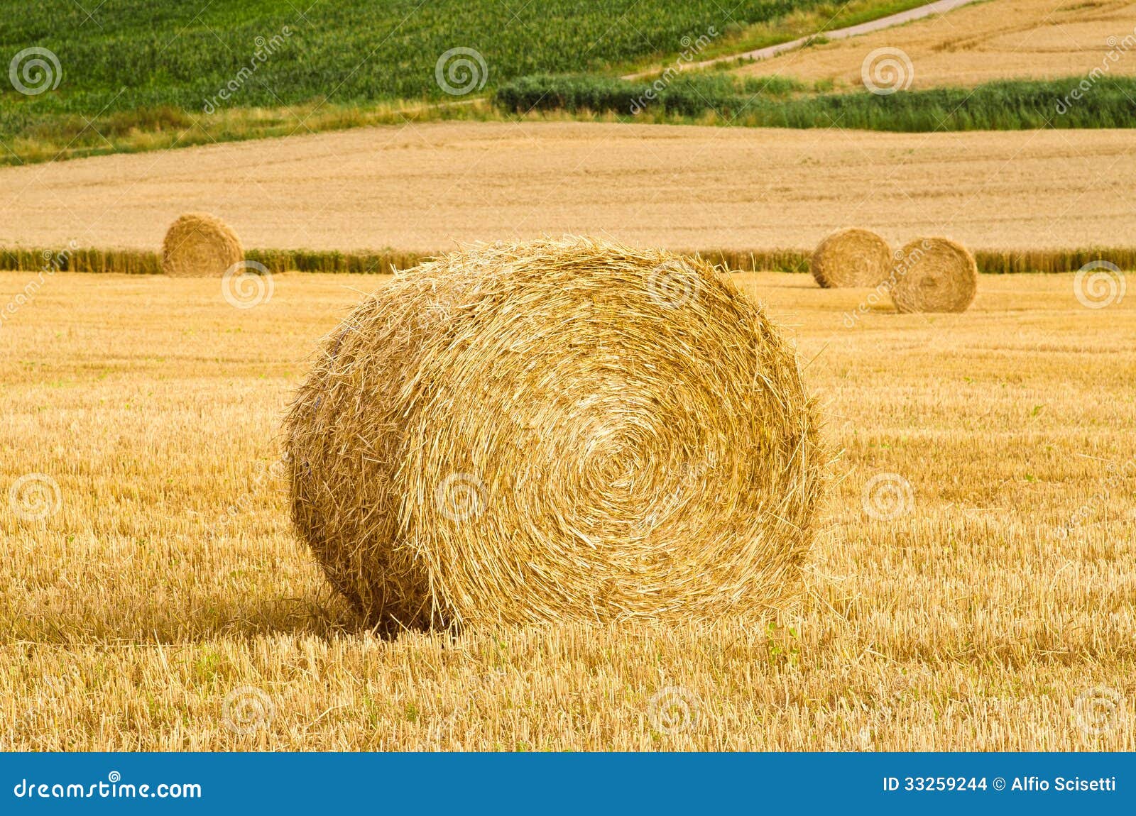 Round bales stock photo. Image of circle, heap, corn - 33259244