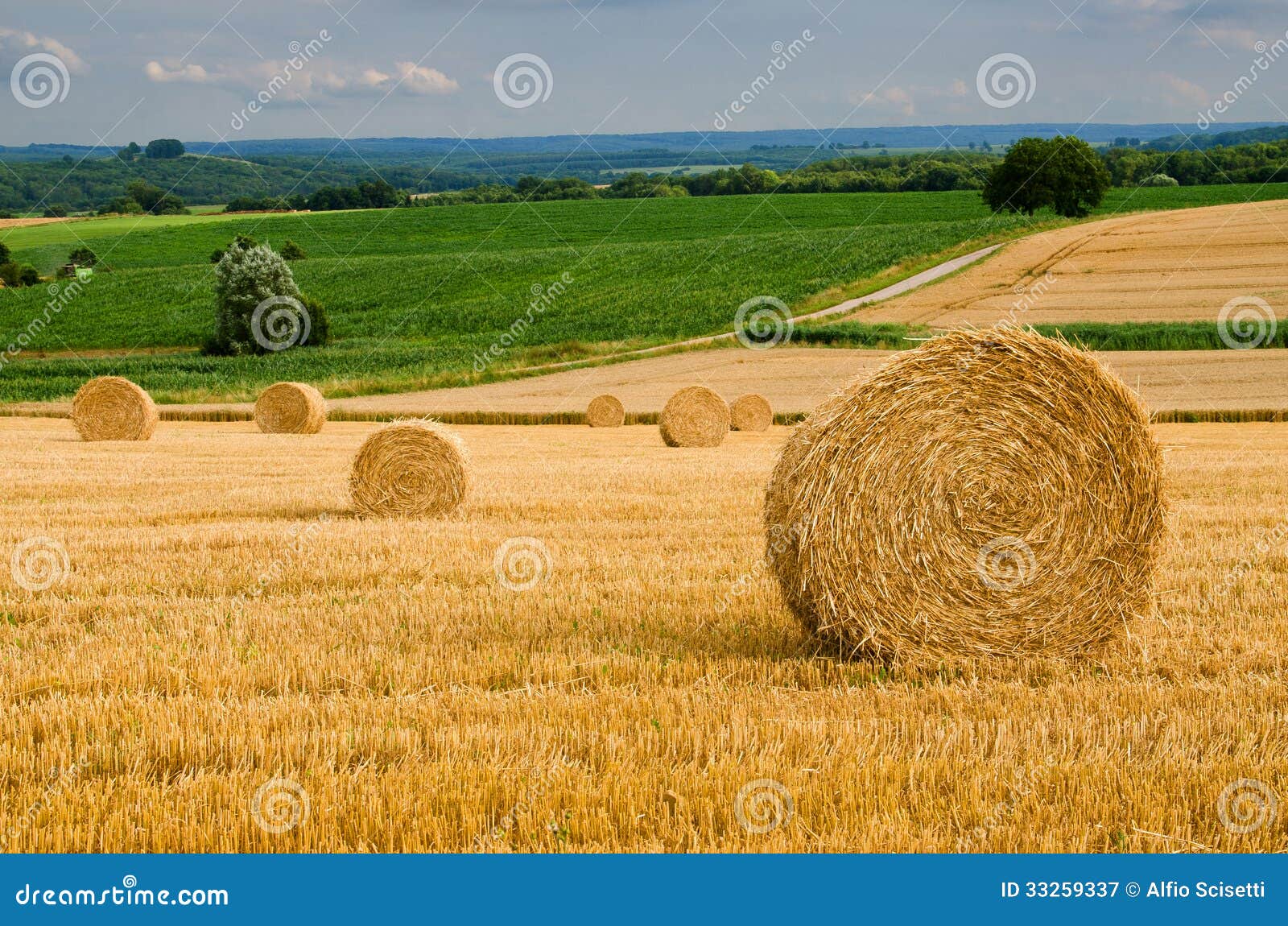 Round Hay Bales Stacked In A Barn, Black And White. Royalty-Free Stock ...