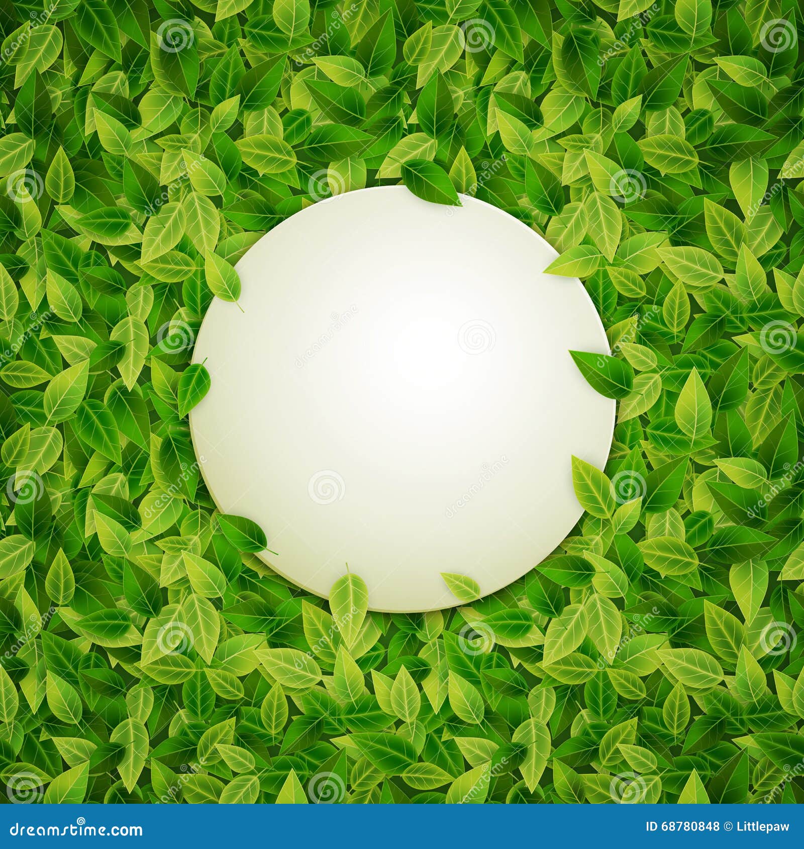 Round Banner, Green Leaves Background, Vector Illustration Stock Vector ...