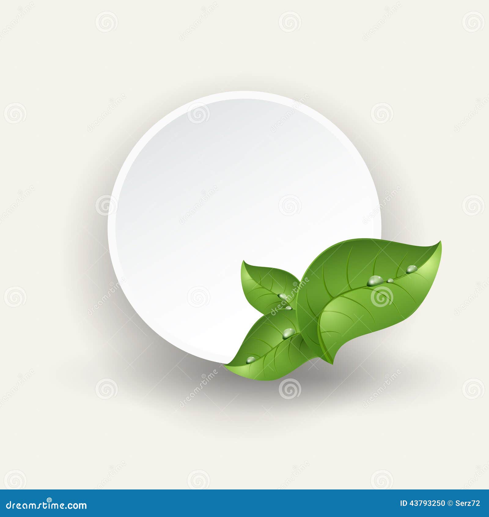Round Banner, Green Leaves, Drops of Dew Stock Vector - Illustration of ...