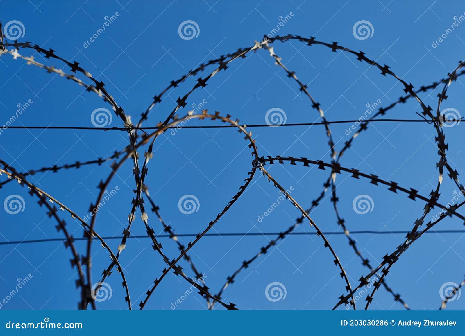 Round Barbed Wire Silhouette Stock Photos - Free & Royalty-Free Stock ...