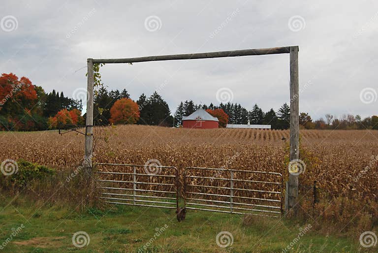 Round barn in a corn field stock image. Image of round - 60854955