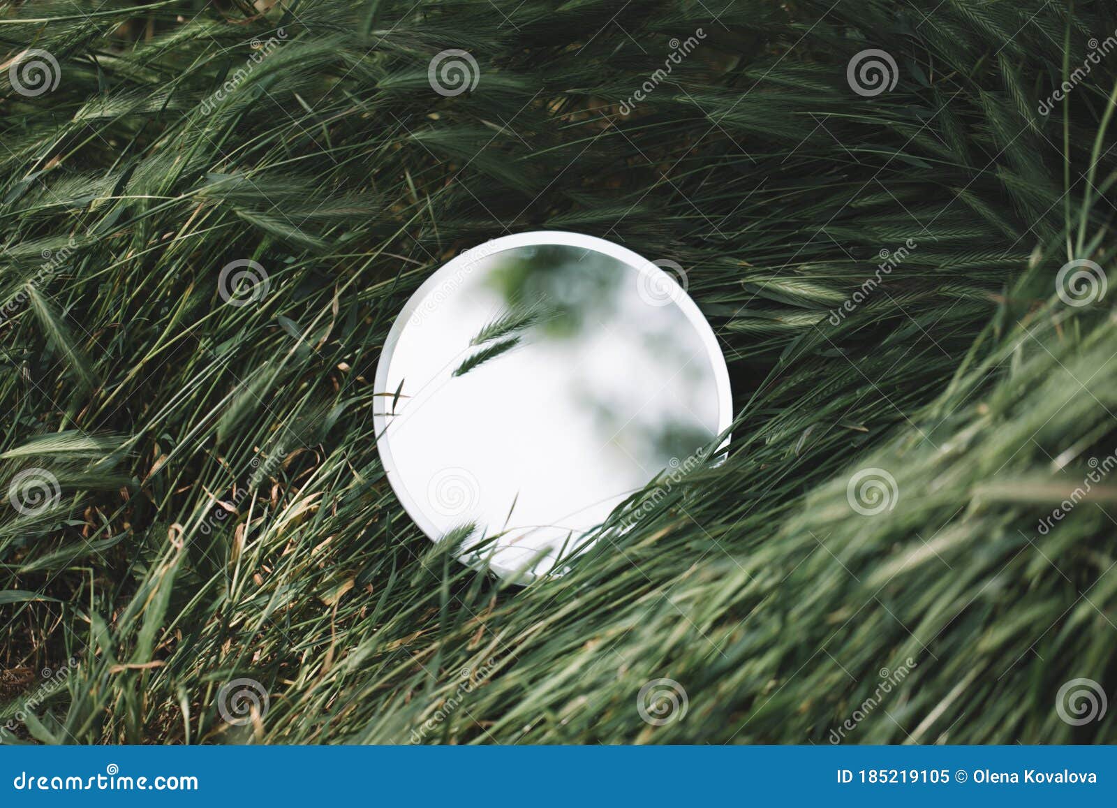 Round Beautiful Glass in the Grass Stock Image - Image of beauty ...