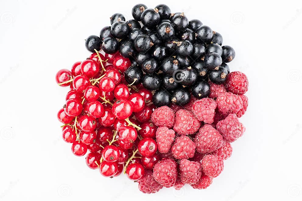 Round Berries Composition Currant and Raspberry Stock Photo - Image of ...