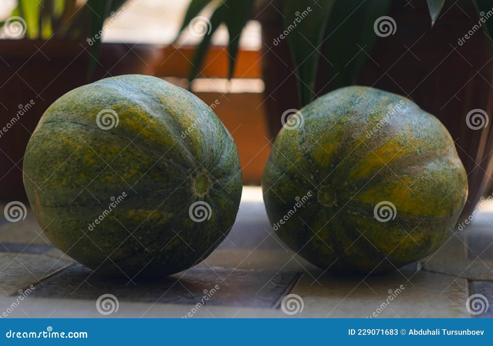 Round blue melons stock image. Image of vitamin, blue - 229071683