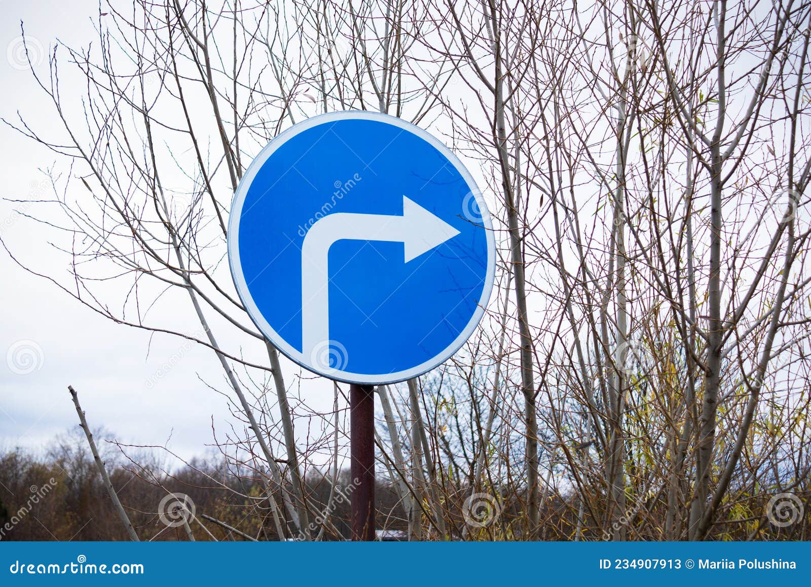 Round Blue Road Sign with White Arrow Turn Right Against the Backdrop ...
