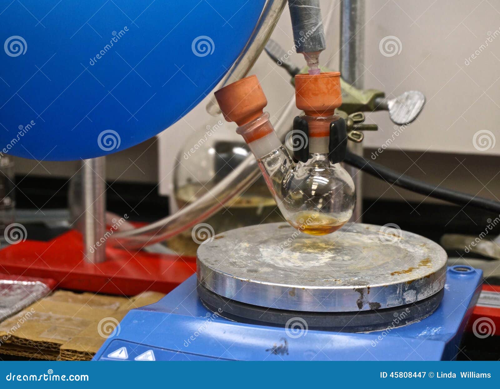 Round Bottom Flask with Distilling Solution Stock Image - Image of ...