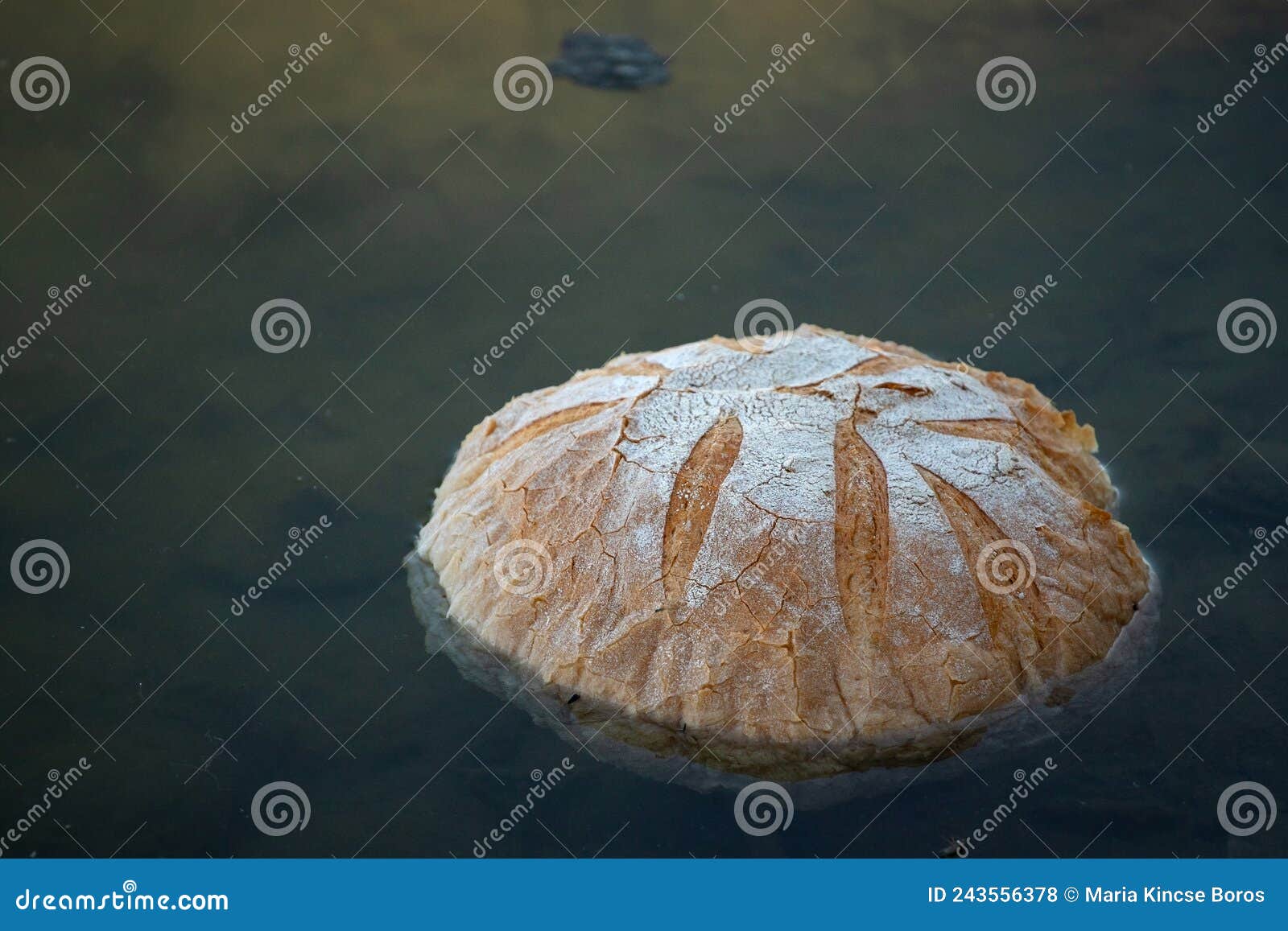 Round Bread Floats on the Water Stock Photo - Image of surface, float ...