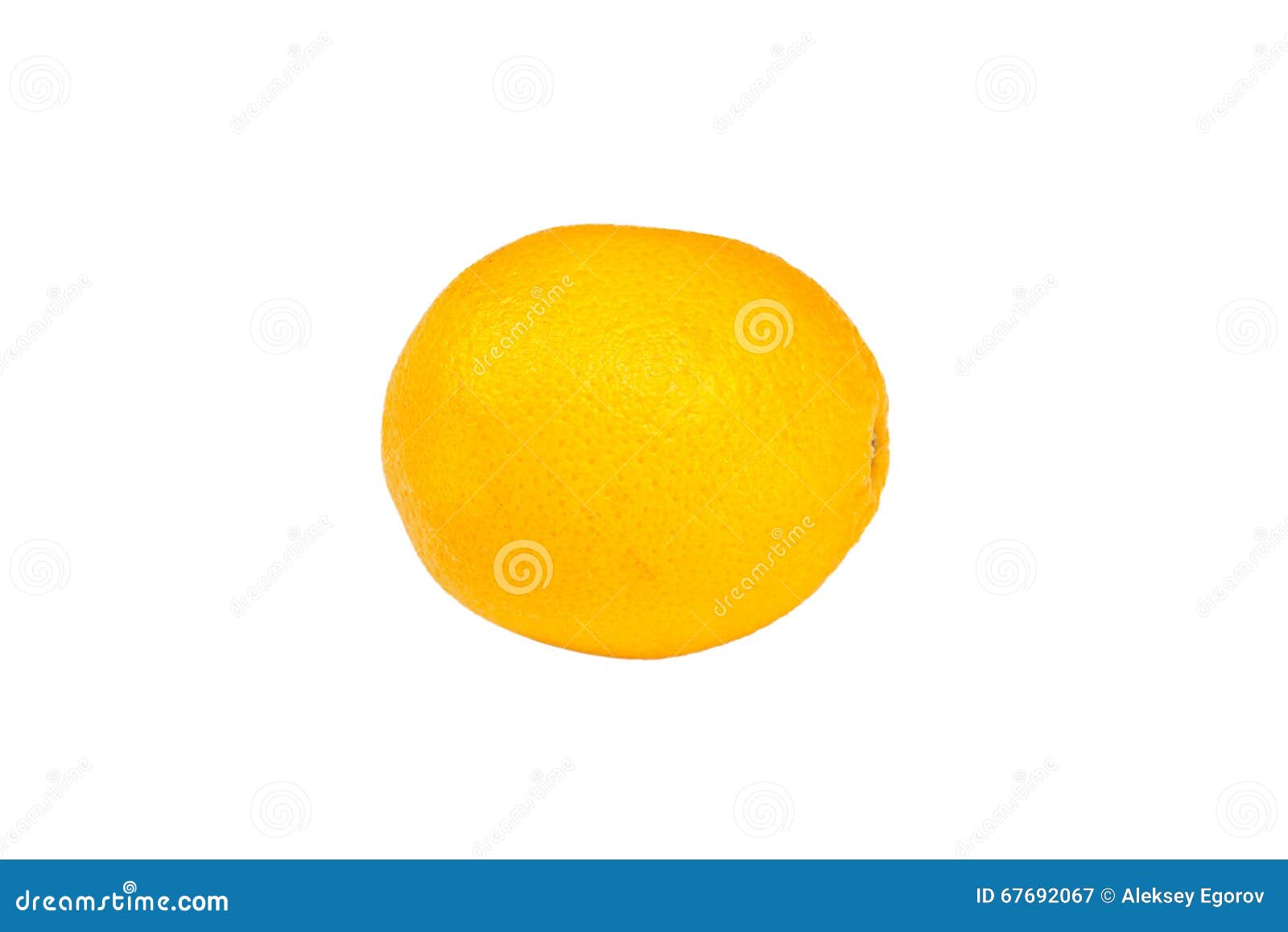 Round bright orange stock image. Image of fruit, acid - 67692067