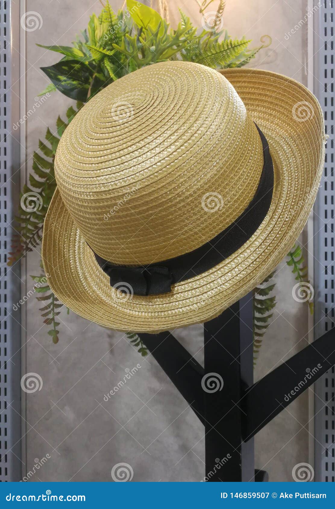 Roundhat Stock Photos - Free & Royalty-Free Stock Photos from Dreamstime