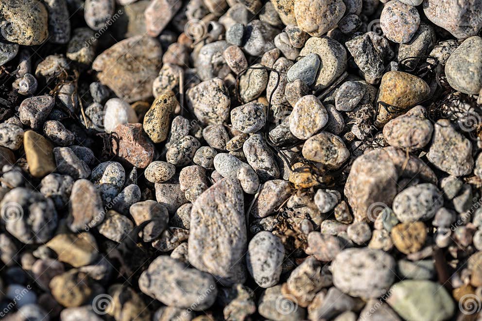 Round Brounded Rocks on a Beach.. Stock Image - Image of surf, natural ...