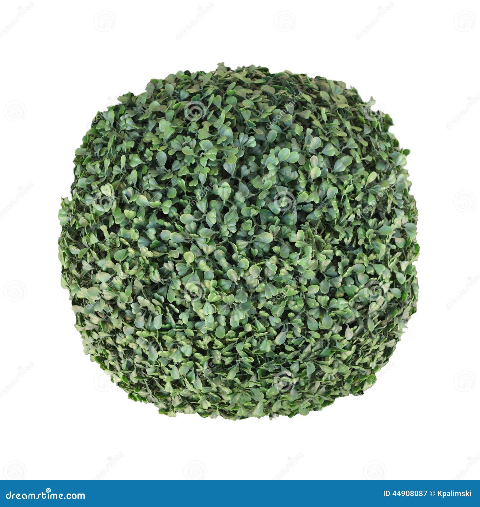 Round bush isolated stock image. Image of textured, garden - 44908087