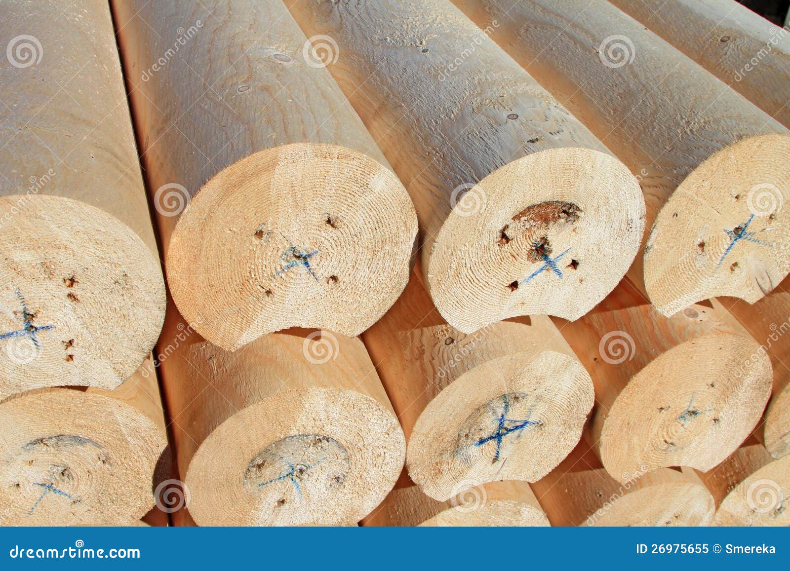 The Round Calibrated Building Bar From A Tree Royalty-Free Stock ...