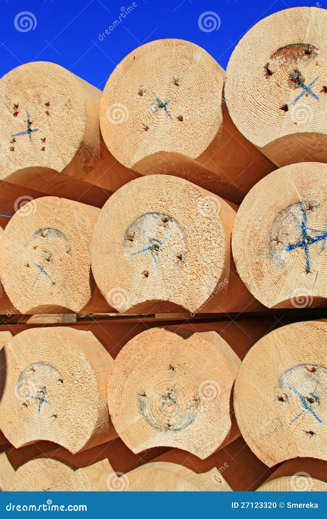 The Round Calibrated Building Bar From A Tree Royalty-Free Stock ...