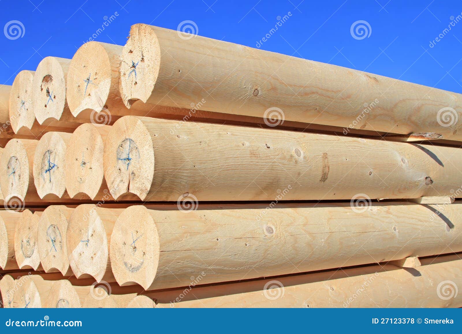 The Round Calibrated Building Bar from a Tree Stock Photo - Image of ...