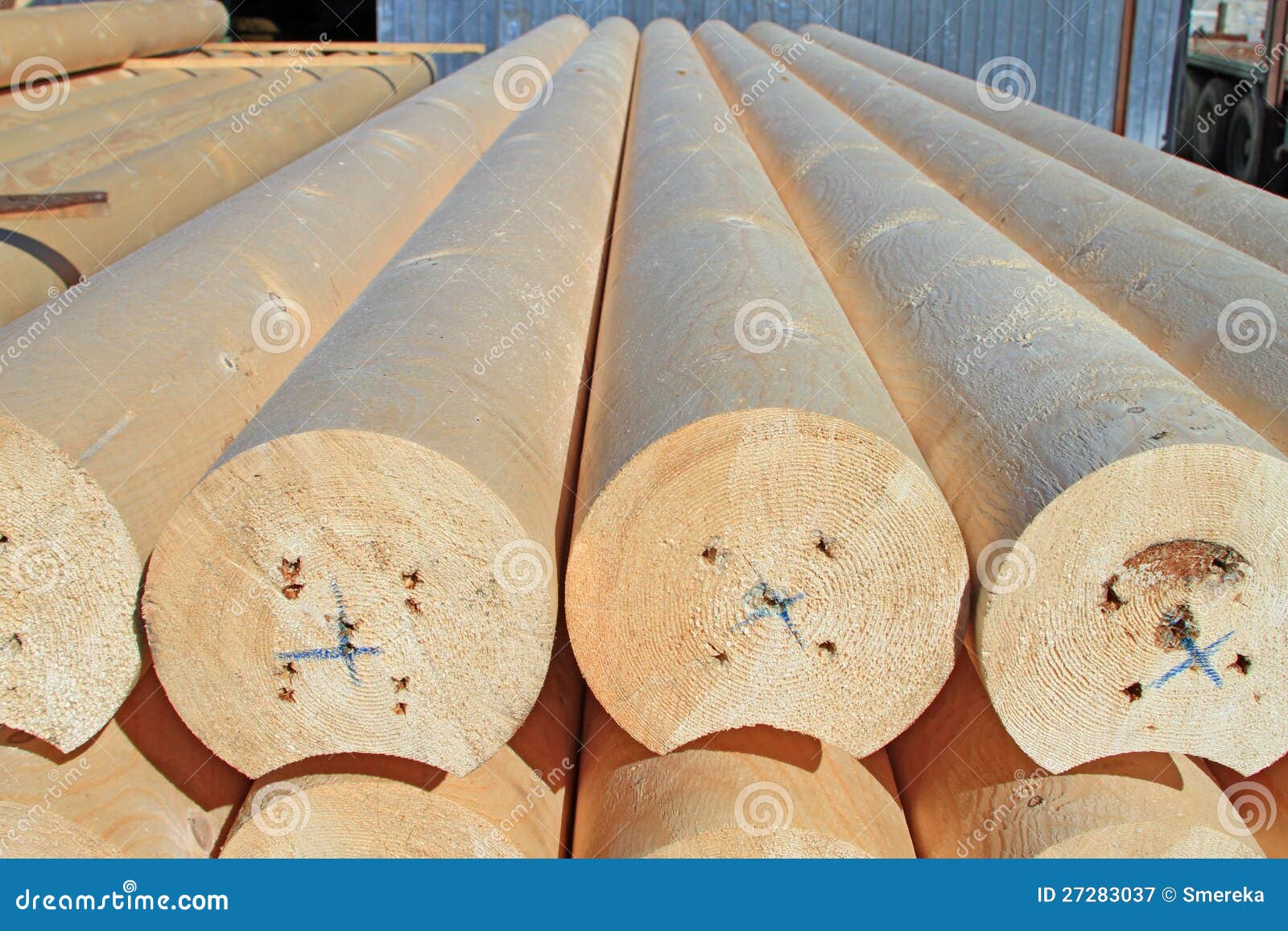 The Round Calibrated Building Bar From A Tree Royalty-Free Stock ...