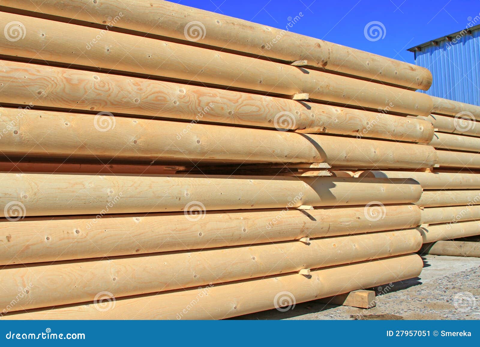 The Round Calibrated Building Bar from a Tree Stock Image - Image of ...