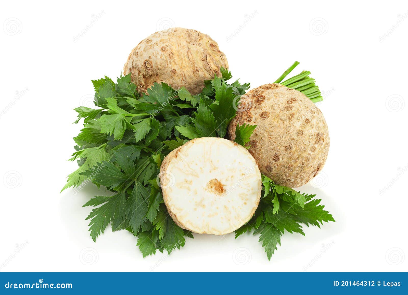 Round celery root on white stock photo. Image of healthy - 201464312