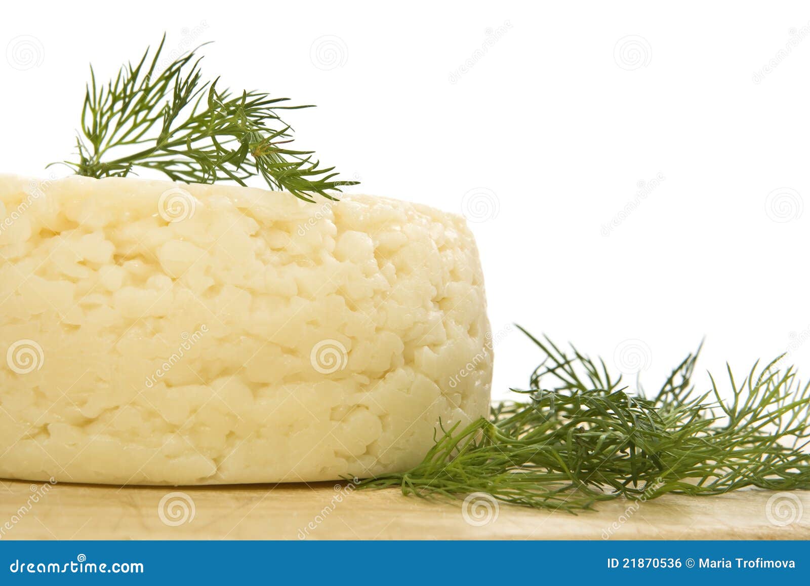 Round cheese. stock photo. Image of cheese, fennel, grass - 21870536
