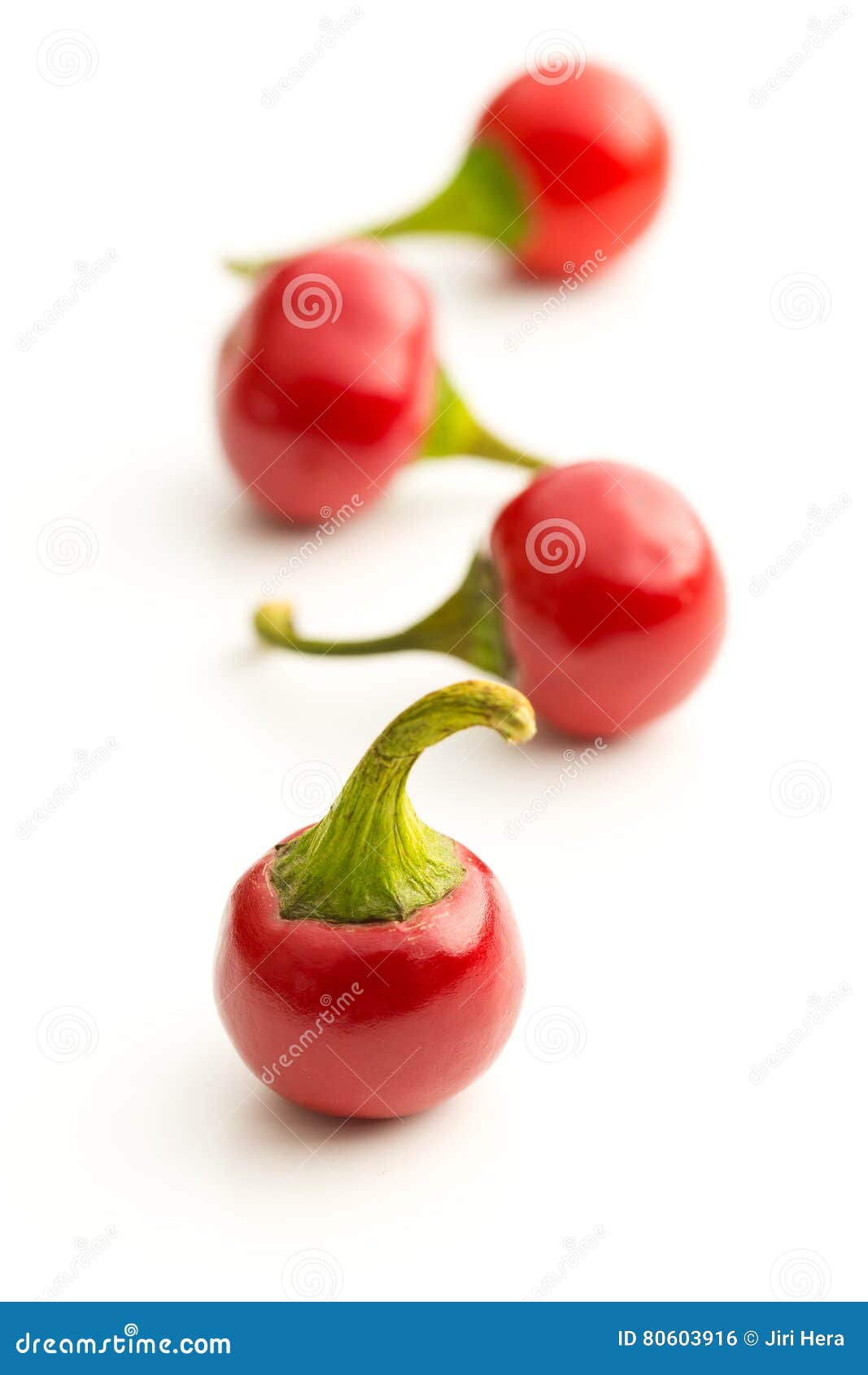 Round chili peppers. stock photo. Image of ingredient - 80603916