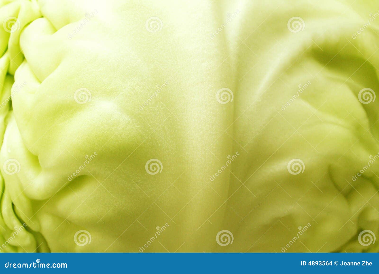 Round Chinese Cabbage - Close Up Stock Photo - Image of diet, farm: 4893564
