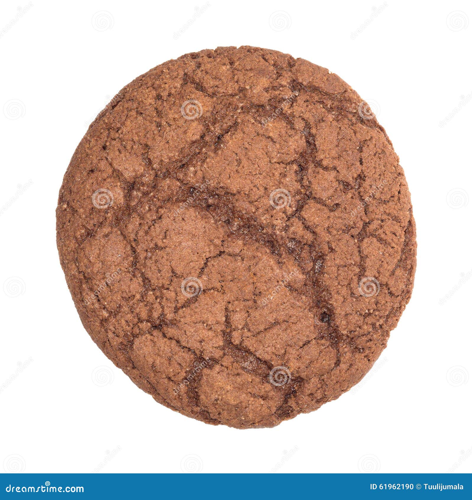 Round chocolate cookie stock photo. Image of brown, cake - 61962190
