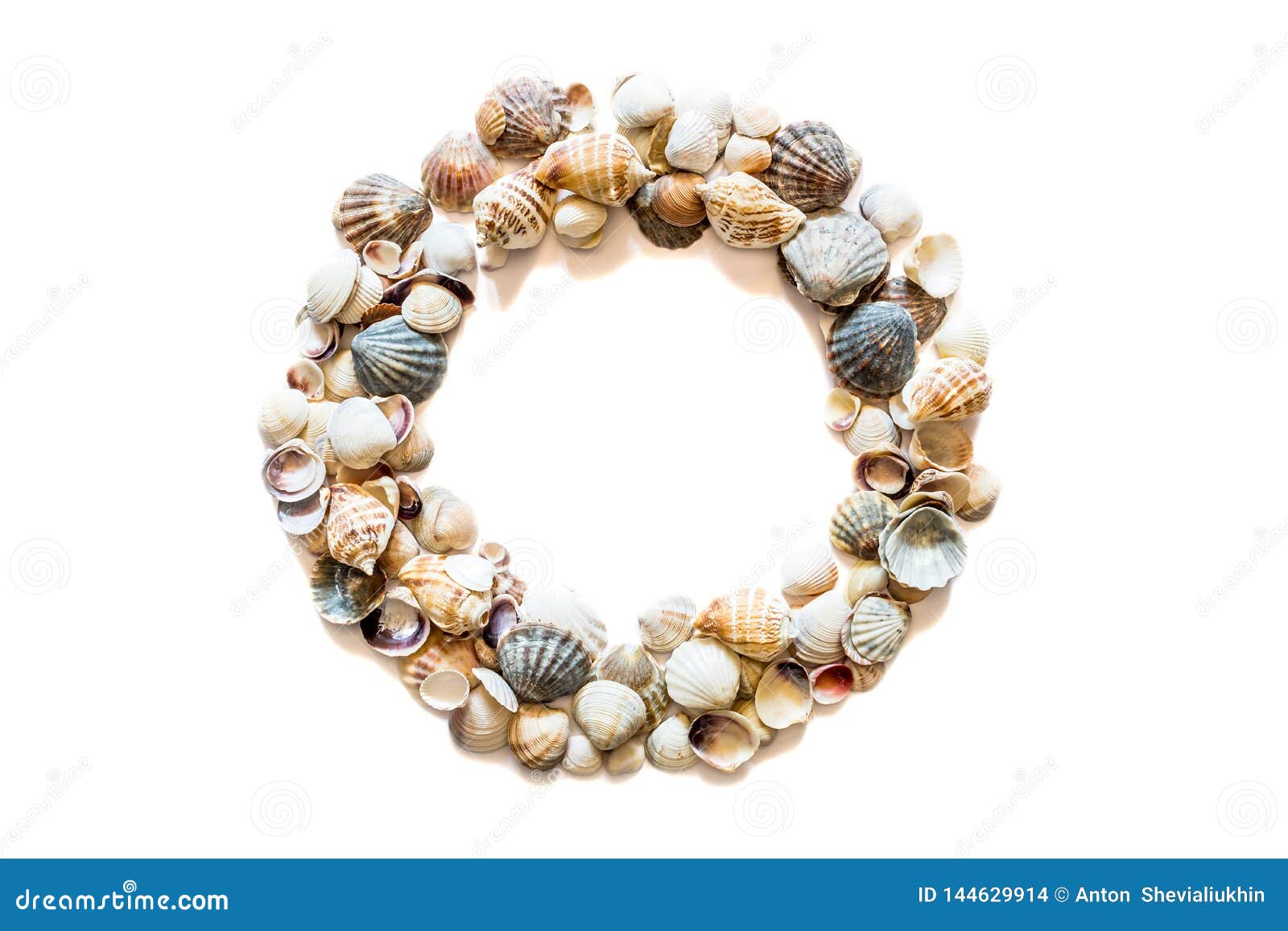 Seashell Round Pattern Royalty-Free Stock Photography | CartoonDealer ...