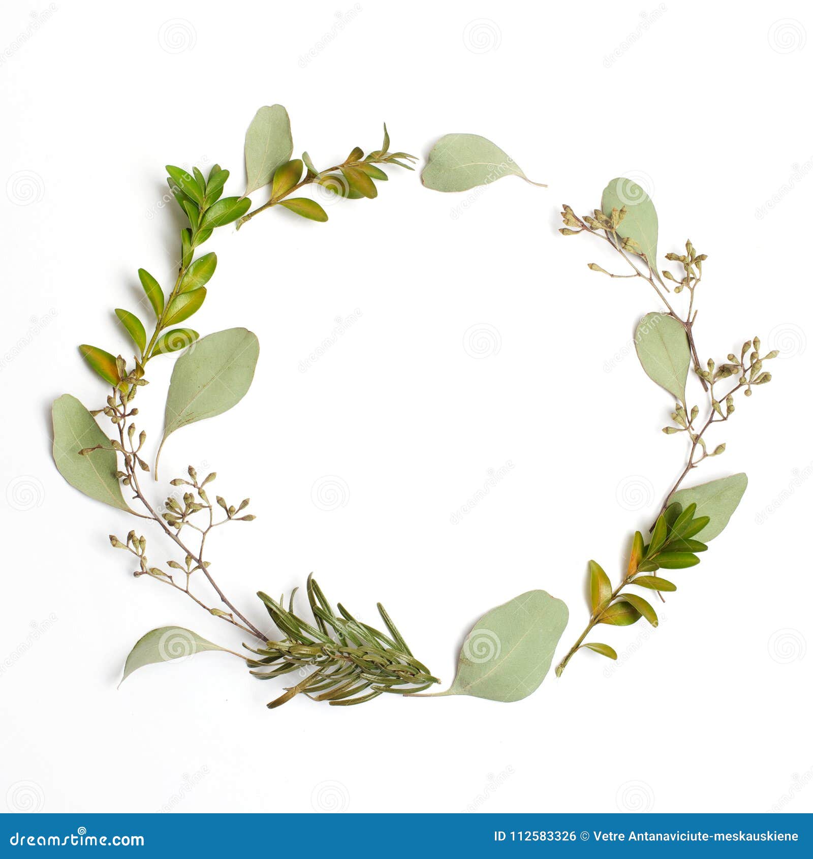 Round Circle Frame Made of Green Branches and Leaves on White ...