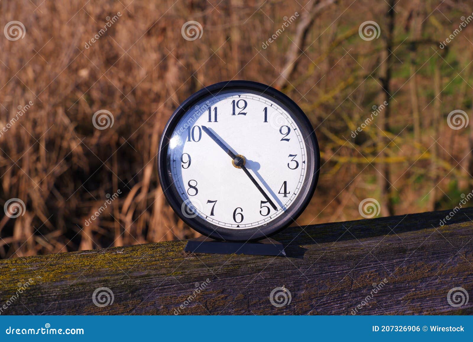 Round Clock on the Ground in the Nature Stock Photo - Image of summer ...