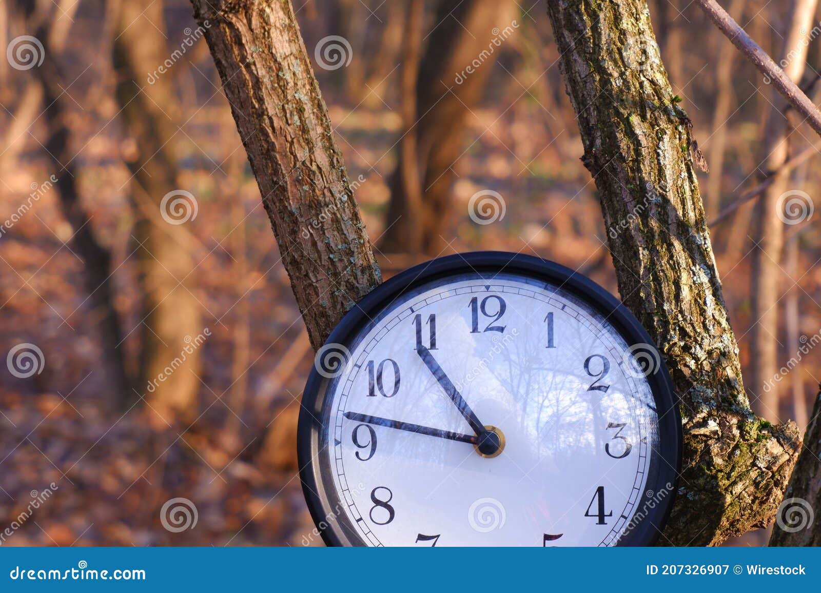 Round Clock on the Ground in the Nature Stock Image - Image of hour ...