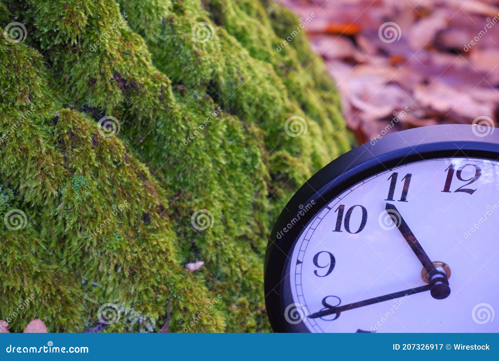Round Clock on the Ground in the Nature Stock Image - Image of hour ...