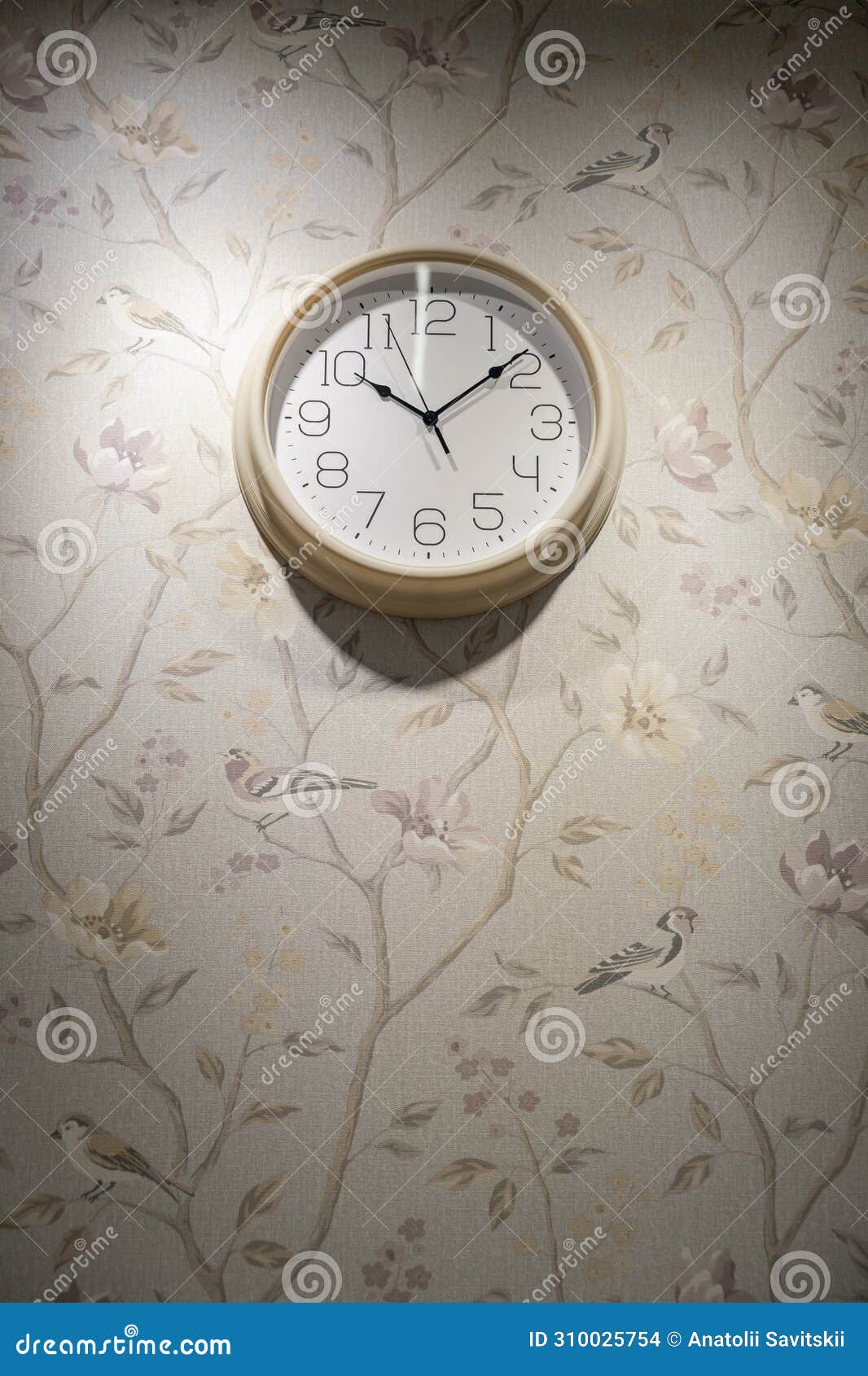 A Round Clock on the Wall Indicates the Exact Time. Decor in the Room ...