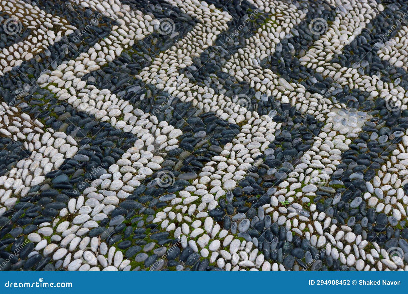 Round Cobblestone Pebble In Concrete, Street Road Pavement Stock Image ...