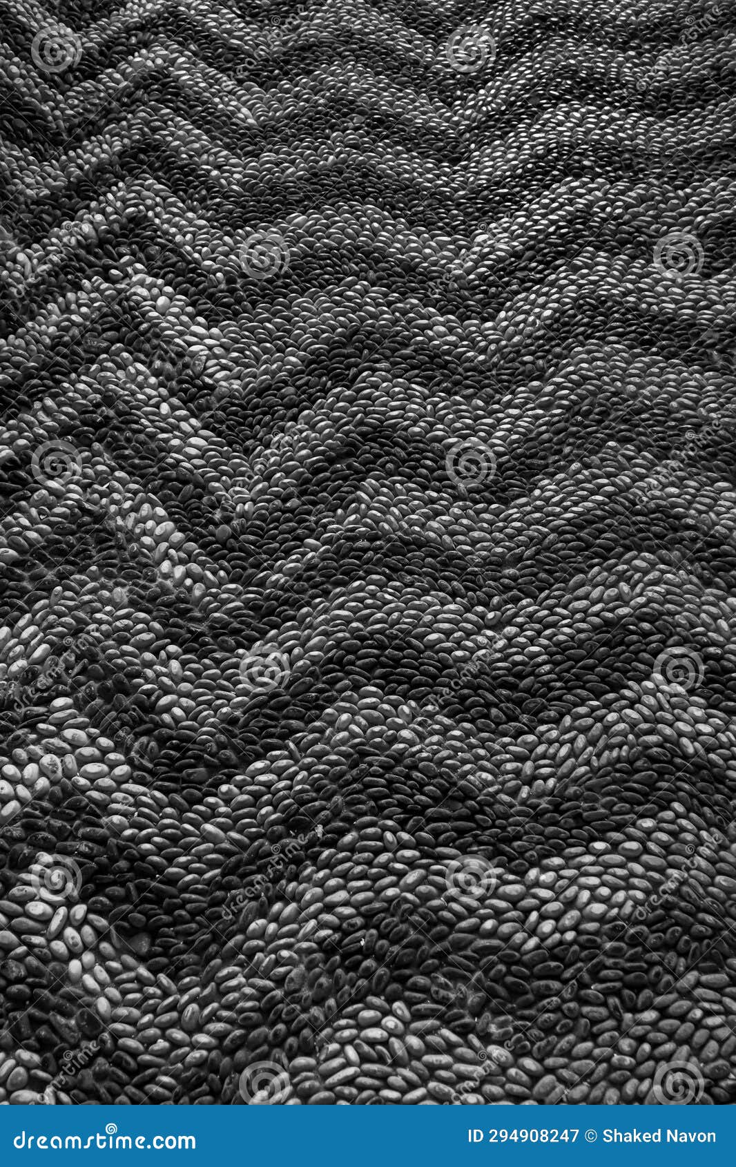 Round Cobblestone Rocks Creating a Chevron Pattern in Black and White ...