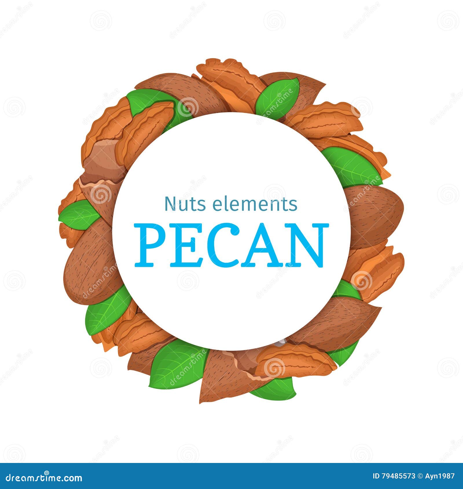 Round Colored Frame Composed of Pecan Nut. Vector Card Illustration ...